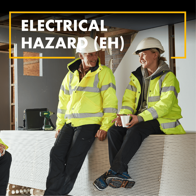 Electrical Standards Explained | Electrical Hazard (EH), Anti-Static ...